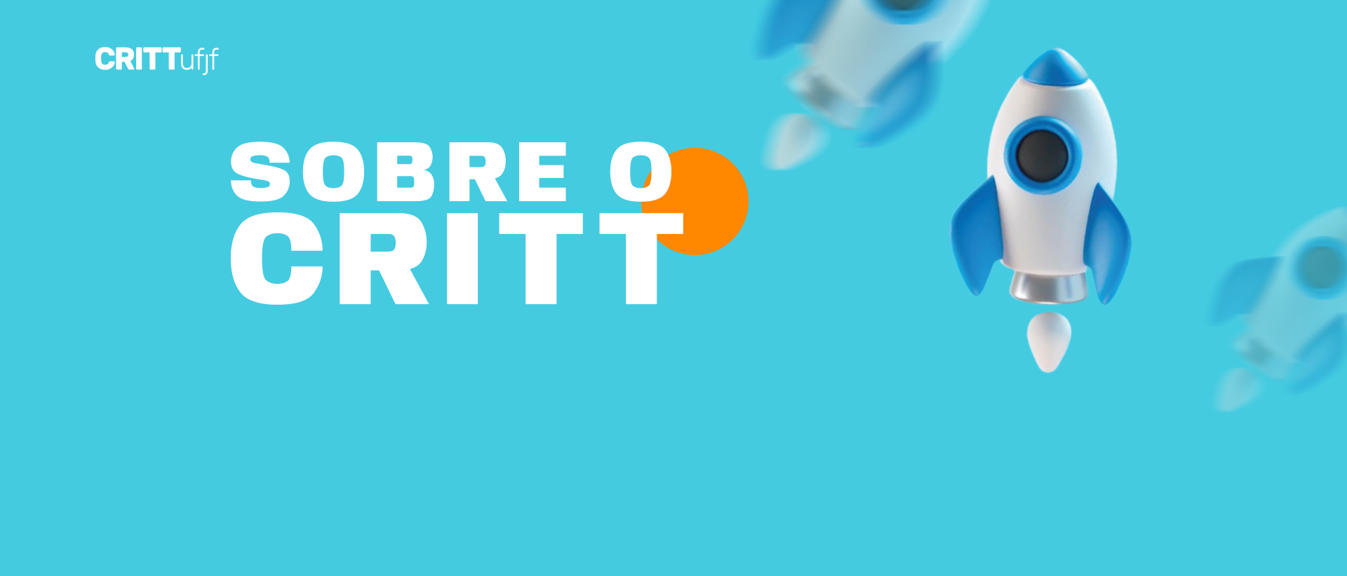 Organização - Critt