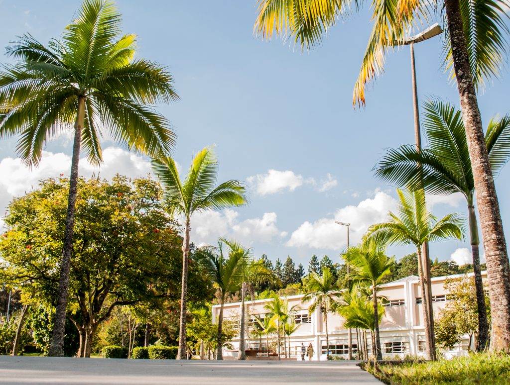 UFJF é 19ª melhor universidade do país em ranking da Folha - Notícias UFJF